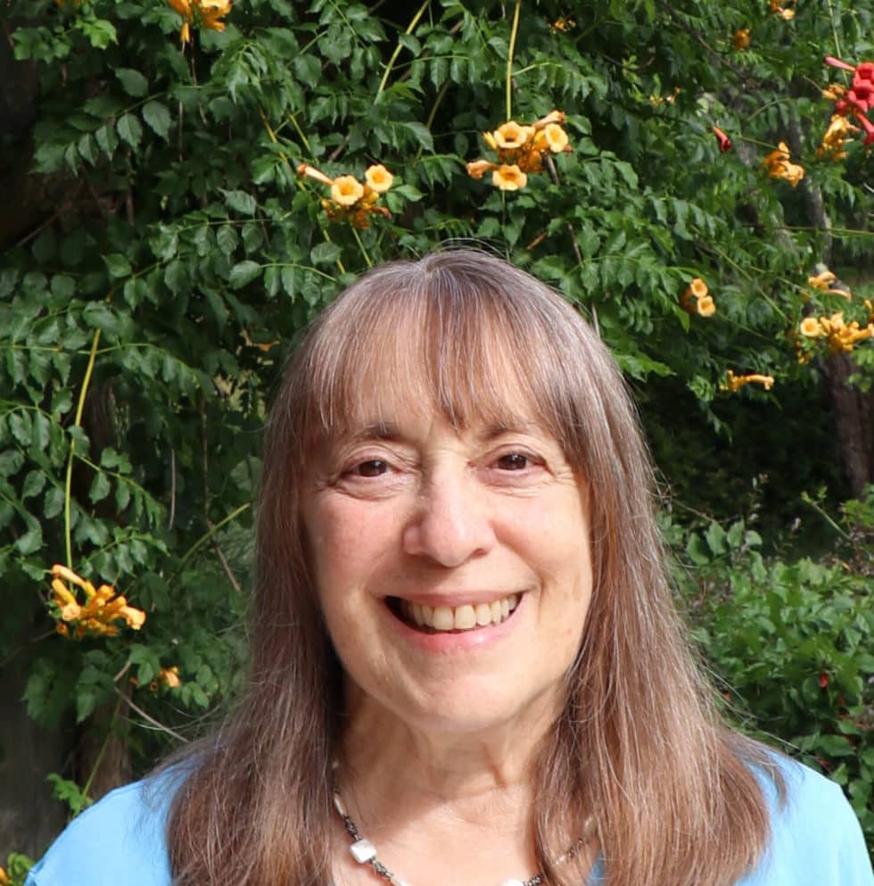 Realization Process: Classes, Workshops and Teacher Trainings